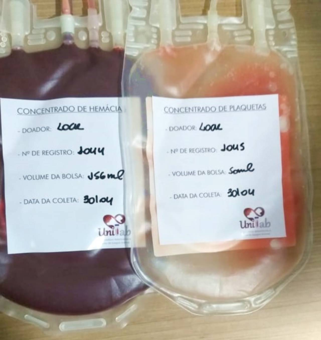 Banco de sangue animal em Americana, SP | Classificados - Solutudo