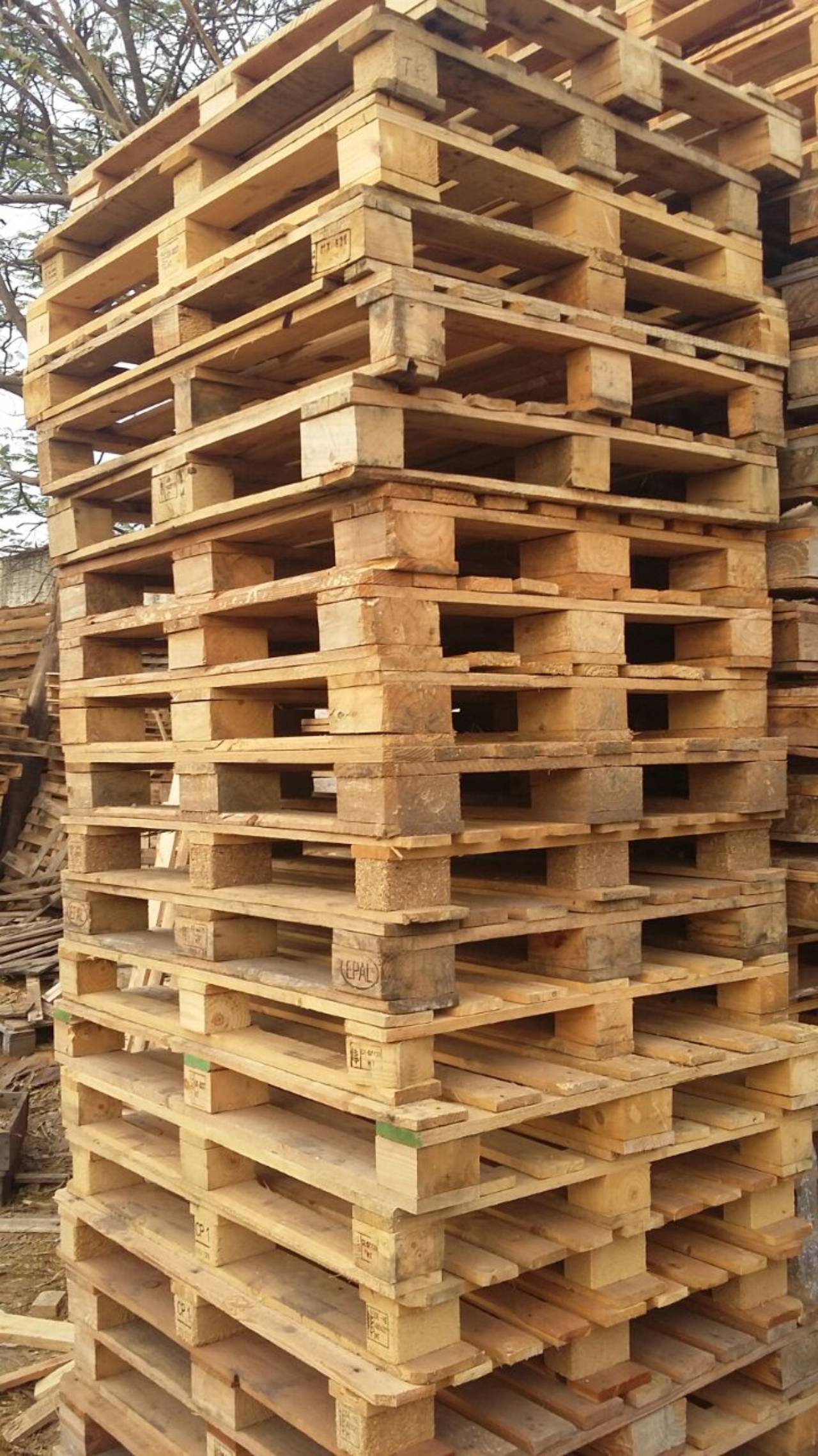 Paletes em Araçatuba, SP | Classificados - Solutudo