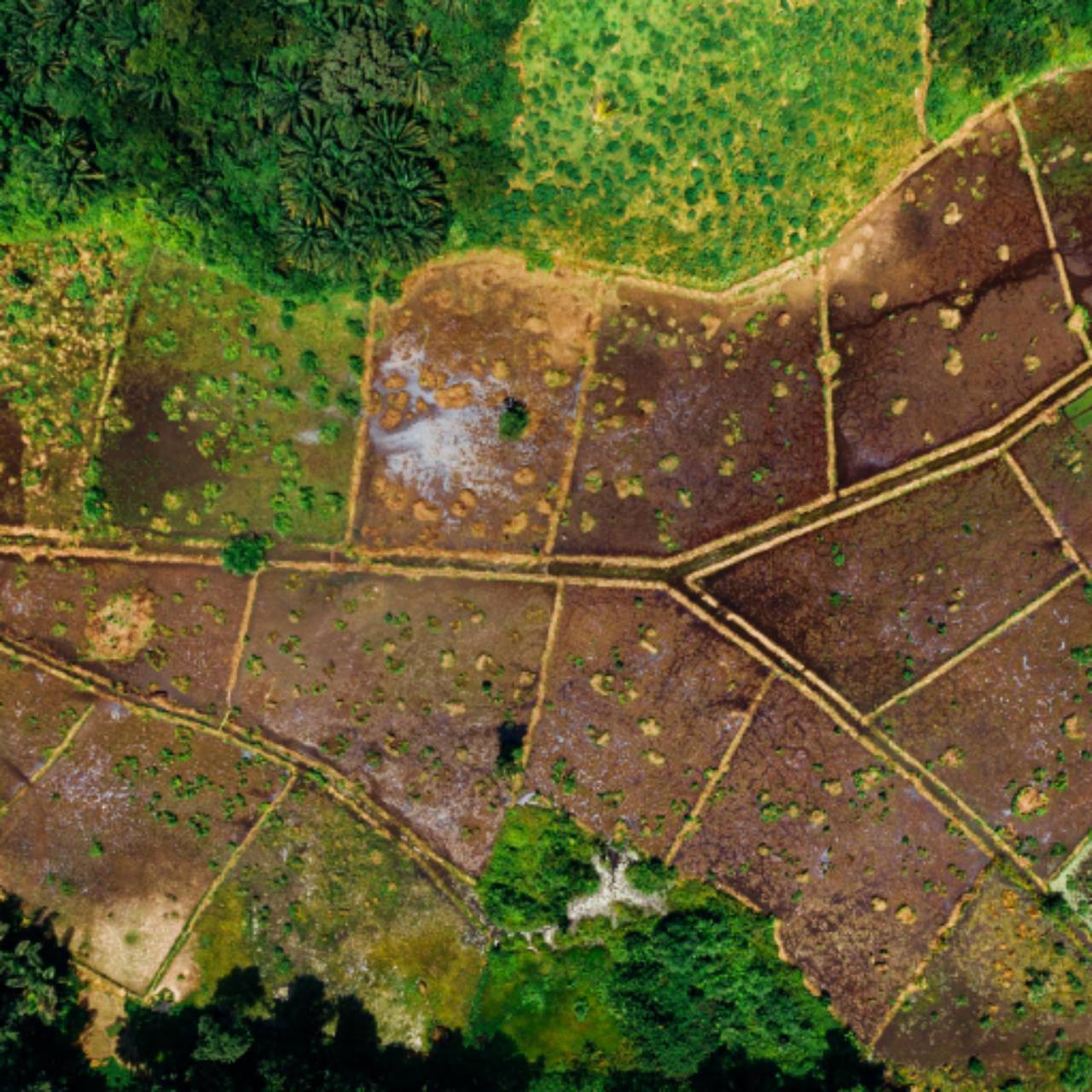 Avaliação de glebas em Cuiabá, MT | Classificados - Solutudo