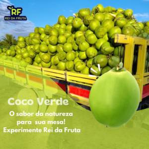 Coco verde em Campinas, SP | Classificados - Solutudo