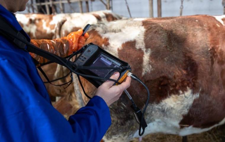 Reprogen Assessoria Reprodutiva, Mineiros-GO